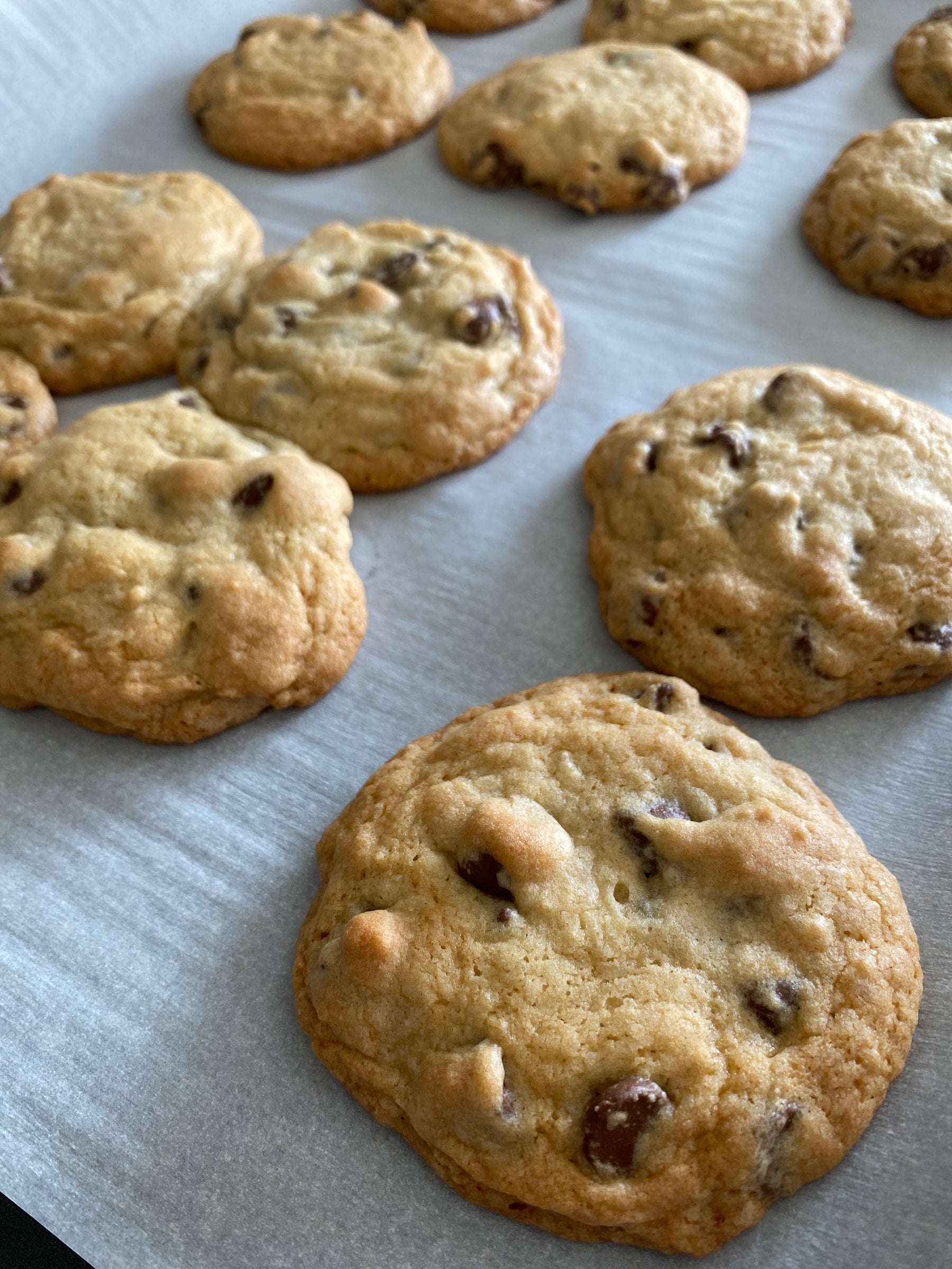 Memories of a Disney Vacation - Crocus & Ivy Interiors